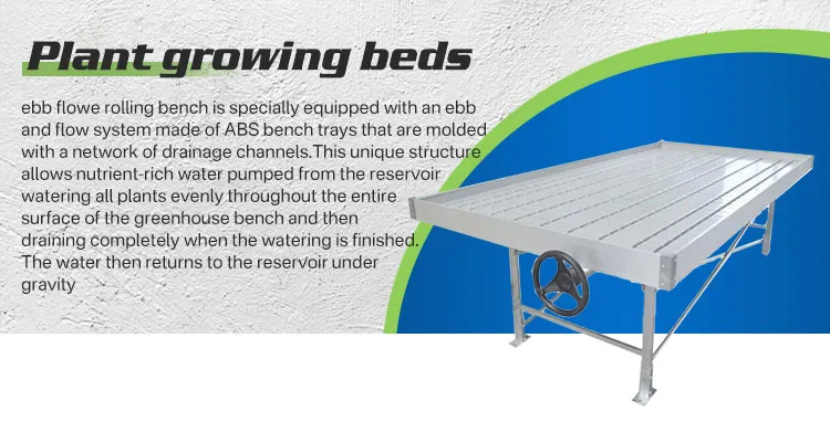 Ebb and Flow Rolling Benches | OEM Greenhouse Hydroponic Tables – FangSheng